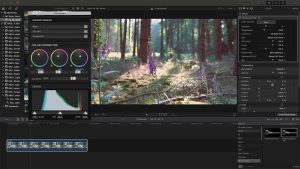 7 Best Color Grading Software For Video Editors in 2025