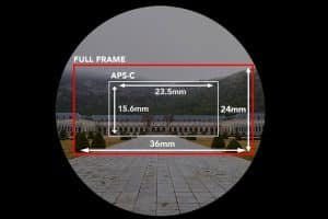 Full Frame vs Crop Sensor [Everything You Need to Know]