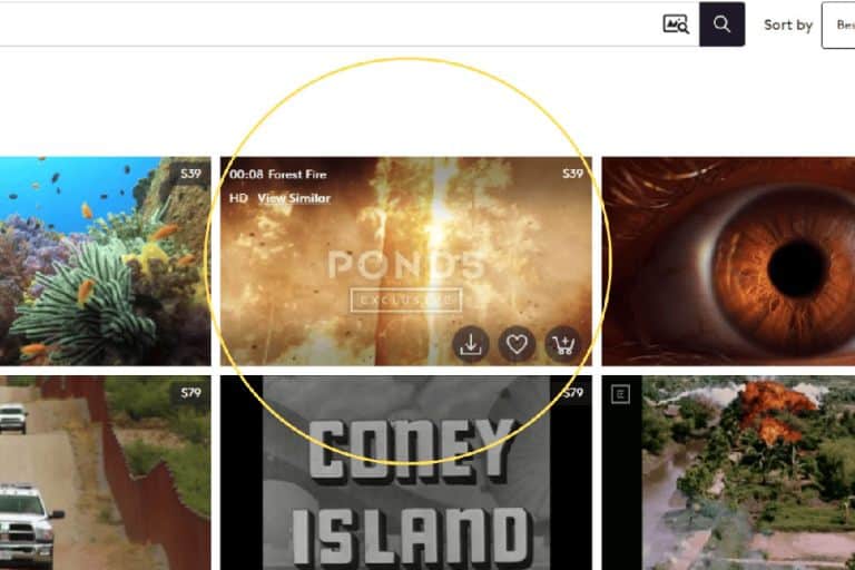 Pond5 Review (2025): Worth it or Not?